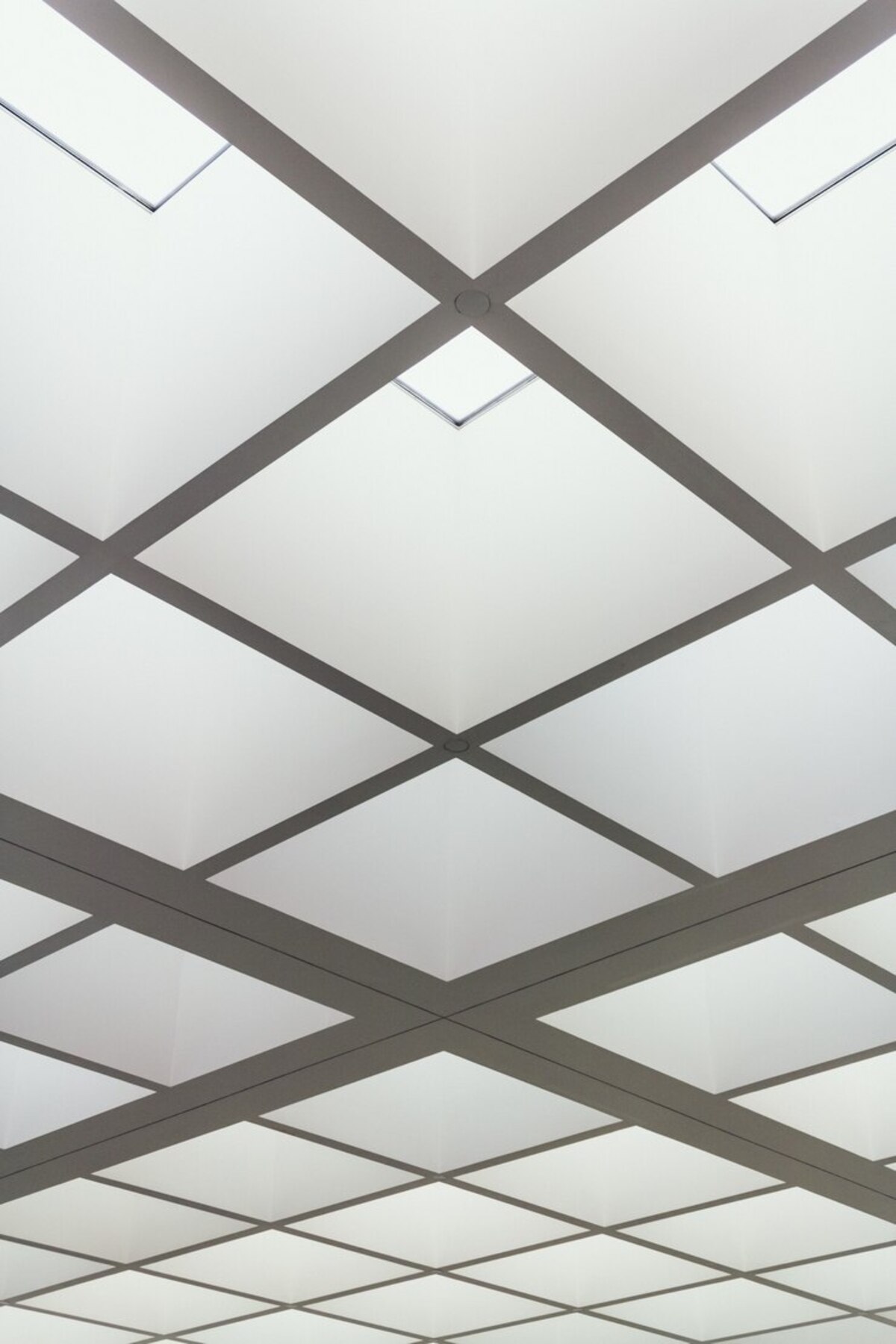 Comment Transformer Votre Faux Plafond En Une Véritable œuvre D'art ...